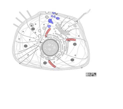 R Weekly 2023 W01 Chatgpt In Rstudio The Whole Game Of Mlops Quantile