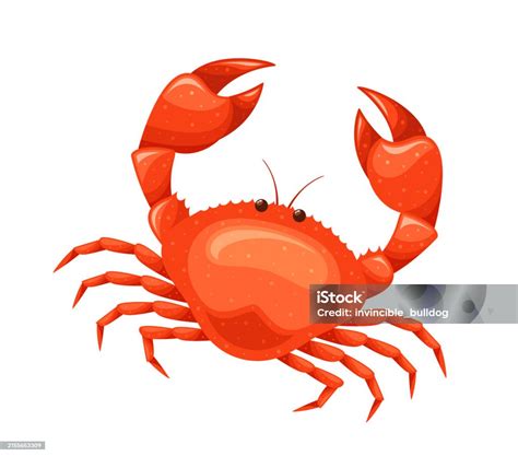 빨간 게 와 상세한 발톱 와 다리 고립된 백색 배경 활기찬 만화 벡터 일러스트 갈고리 발톱에 대한 스톡 벡터 아트 및 기타 이미지 Istock