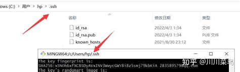 Github使用配置教程 知乎