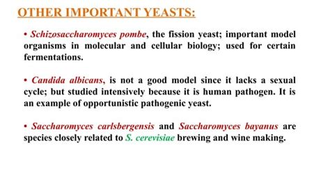 Yeast Mating Types Unraveling The Secrets Of Sexual Reproduction In