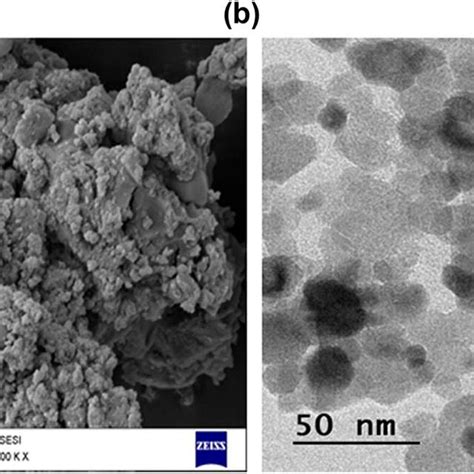 Sem And Tem Analyses Of Znonps Nc A Sem Microscopic Image Shows The