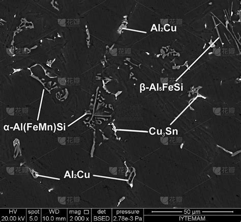 扫描电子显微镜
