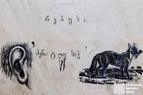 საქართველოს ეროვნული არქივი ბავშვებისთვის საქართველოს ეროვნული არქივი