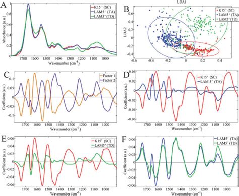 Interpret Analytical Results Of Nmr Ftir Raman Xrd Gcms And Chns By