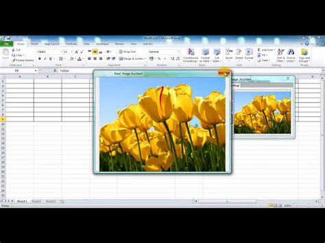 فیلم آموزشی درج خودکار عکس در سلول اکسل دستیار تصویر اکسل فیلم های