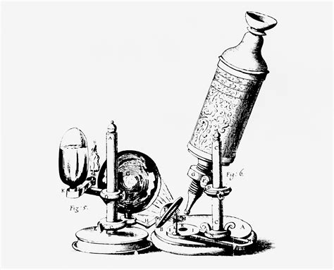 Micrographia Robert Hooke