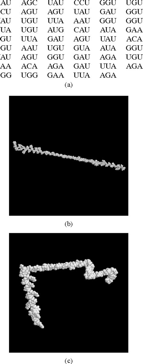 Figure 2 From Self Replication Processes In Nanosystems Of Informatics