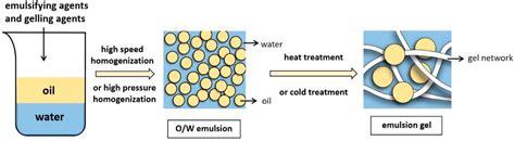 Emulsion Gel And Its Preparation Encyclopedia Mdpi