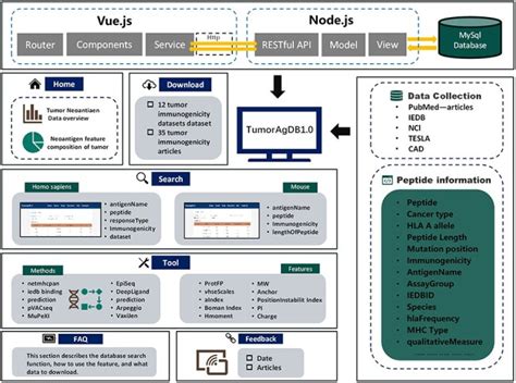 Tumoragdb1 0 Tumor Neoantigen Database Platform Pmc