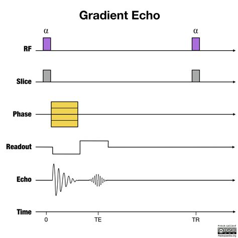 Mri Pulse Sequence Diagrams