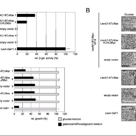 MYC MAX Interaction And Its Inhibition By A Competitive Inhibitor Download Scientific Diagram