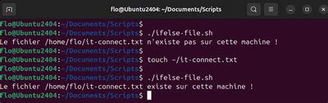 Maîtriser Les Conditions If Else Et Elif En Bash