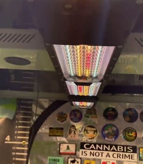 Henry Berman On Linkedin Dial In Your Spectrum With The Scynce Led Raging Kush Ii