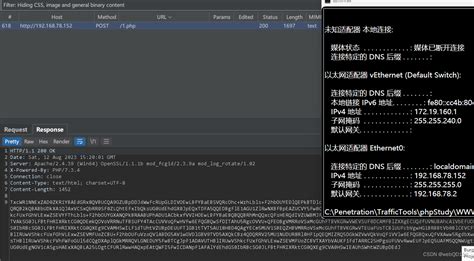 c 个人版webshell管理工具 c webshell csdn博客
