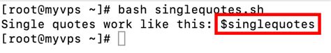 What Are Bash Variables And How To Work With Them On Linux