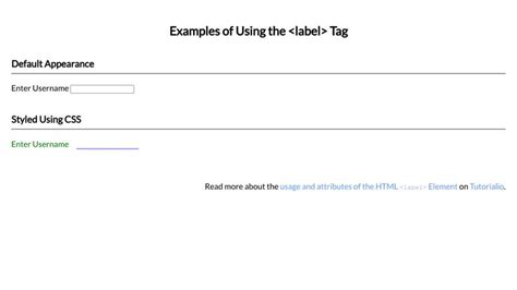 html label tag