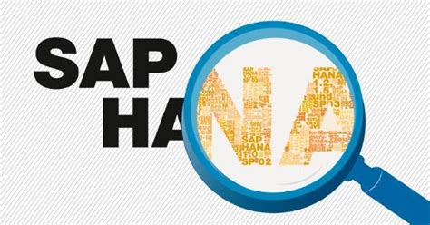 Vulnerabilities Stuffed Sap Hana Makes Safer