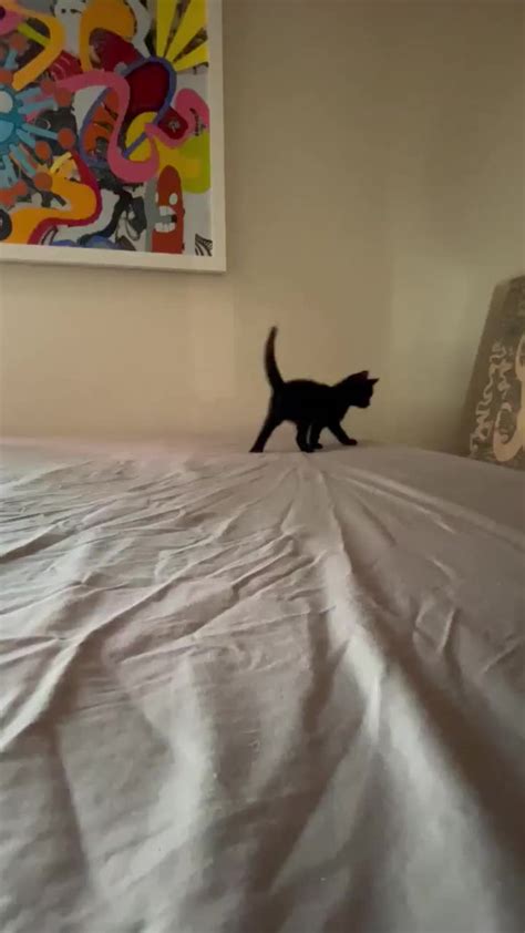 New Void Album On Imgur