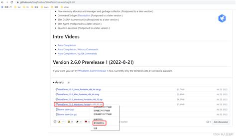 迅雷下载github文件提示需要授权或登录等github下载失败需要获取授权 Csdn博客