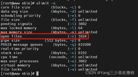 全网最详细的安装配置nginx，亲测可用，解决各种报错】 nginx安装 csdn博客