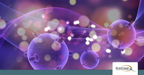 Hormonas Y Fertilidad ¿cómo Influye La Hormona Fsh Procrear