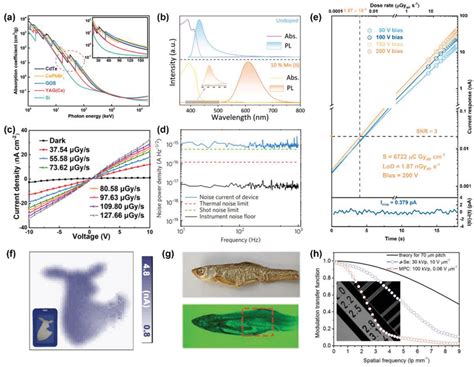 Performance Of X‐ray Detectors Under X‐ray Irradiation A Linear Download Scientific Diagram