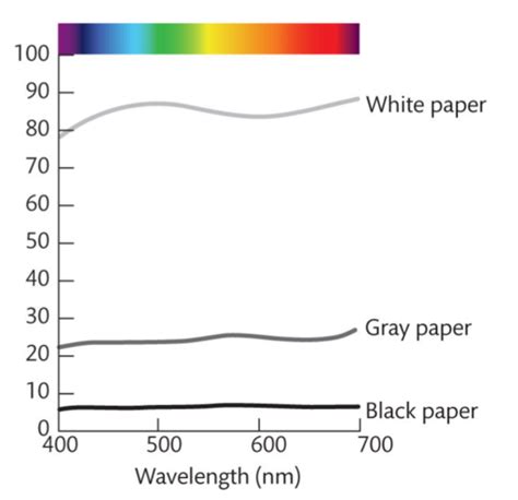 E2 Chapter 5 Check Your Understanding Flashcards Quizlet