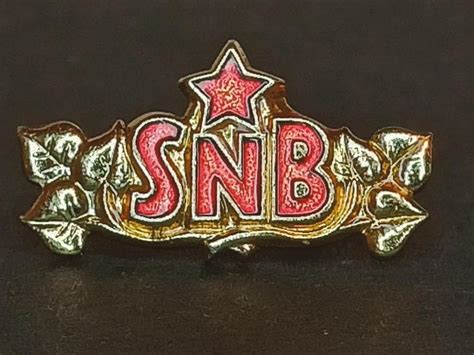 RETRO ODZNAK SNB Aukro