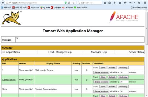 tomcat server username and password programmer sought