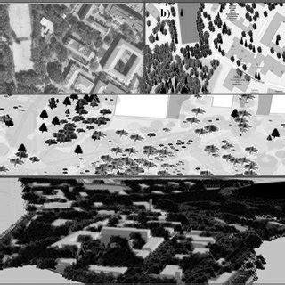 Location Of The Trees Presented On Different Base Maps A Using Point Download Scientific
