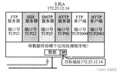 Linux Network传输层协议UDP CSDN博客