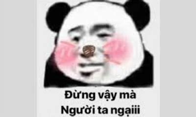 Top meme ngại ngùng hình ngại ngùng meme đáng yêu