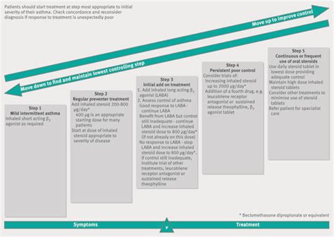 Common Cases In Respiratory Medicine Acute Severe Asthma The Bmj