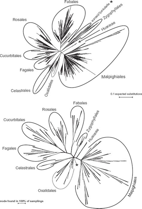Potential Of GRTS ML To Recover Correct Relationships Top ML Download Scientific Diagram