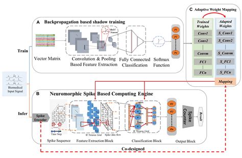 杨杰 西湖大学脑机接口与类脑计算 研究方向与成果