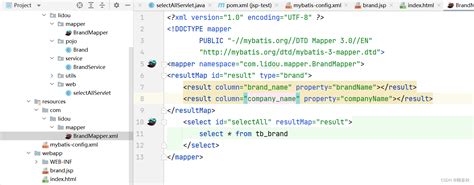 实体类库 列名和变量名不一致的解决办法怎么确保实体类变量名和数据库字段名一致 Csdn博客