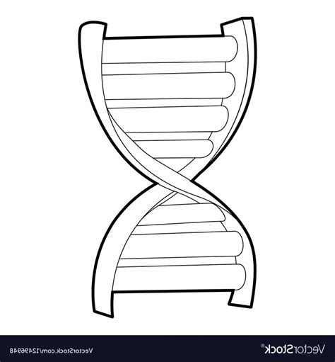 Dna Strand Vector At Vectorified Com Collection Of Dna Strand Vector Free For Personal Use