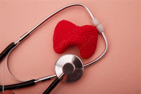 Treatment And Prevention Of The Thyroid Gland Anatomical Organ Stock Photo Adobe Stock