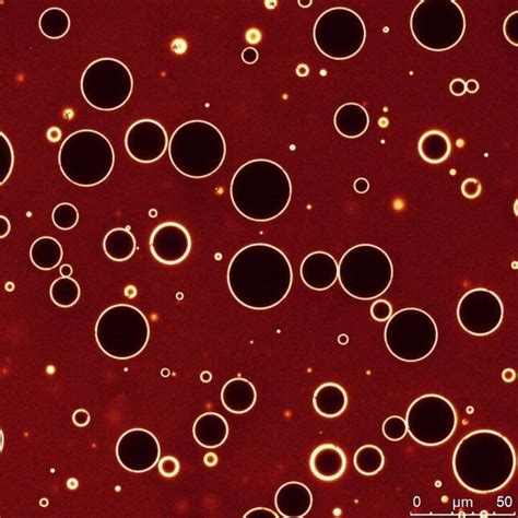 Polymers And Colloids At Interfaces