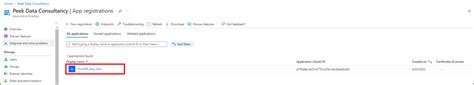 Configure Access To Power Bi Rest Api Peek Data Consultancy