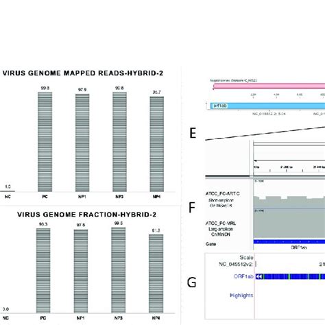 Long Read Sequencing Provides Uniform Coverage Across Deletion Prone