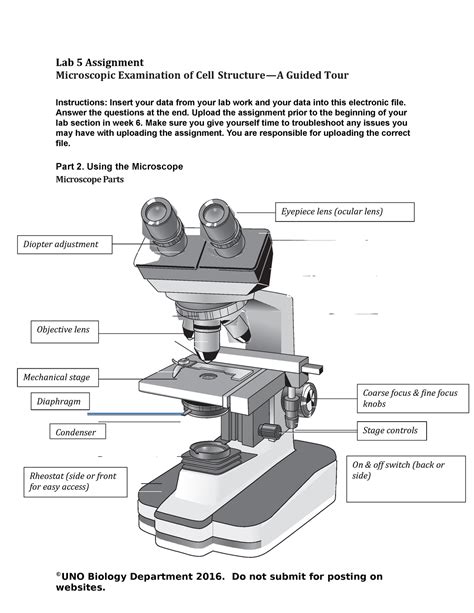 Lab 5 Assignment Lab 5 Assignment Microscopic Examination Of Cell StructureA Guided Tour