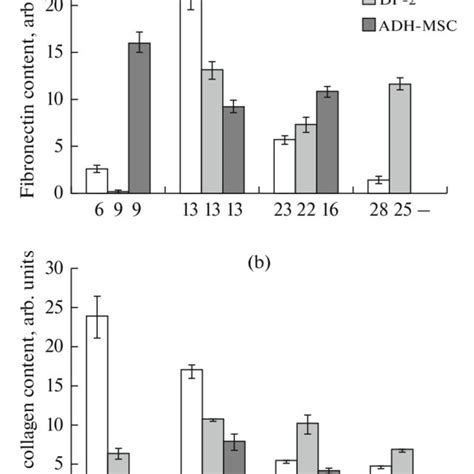 The Level Of A Fibronectin And B Type I Collagen In Human