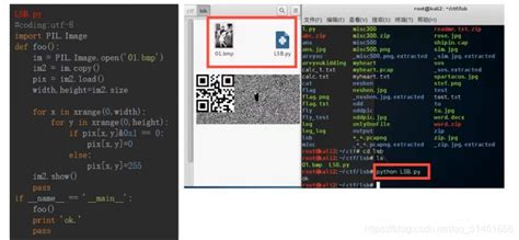 ctf 杂项 图片隐写 ctf图片隐写 csdn博客