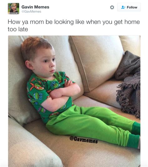 Gavin Memes Gavin Know Your Meme