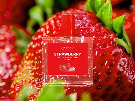 딸기는 어떻게 이름도 딸기 새콤달콤 딸기의 향기 텀블벅 크리에이터를 위한 크라우드펀딩