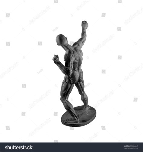 Plaster Statue Naked Anatomical Human Figure Stock Photo Edit Now