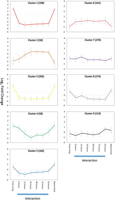 Gene Expression K Means Clusters Aspen Gene Cluster Co Expression For Download Scientific
