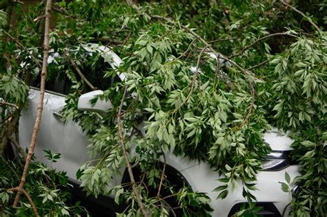 Understanding Auto Insurance Coverage For Windscreen Replacements Understanding Auto Insurance Coverage For Windscreen Replacements