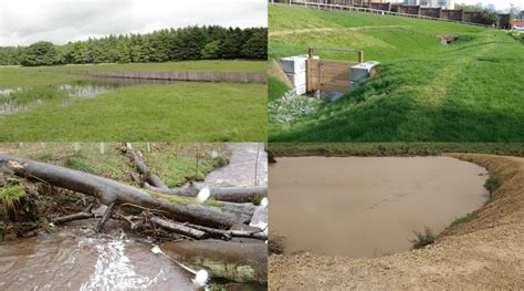 Solving Environmental Problems The Holistic Way Advanced Science News